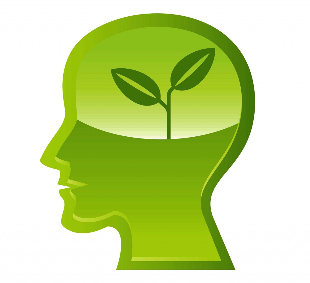 Family Brain Power - Eight Elements West